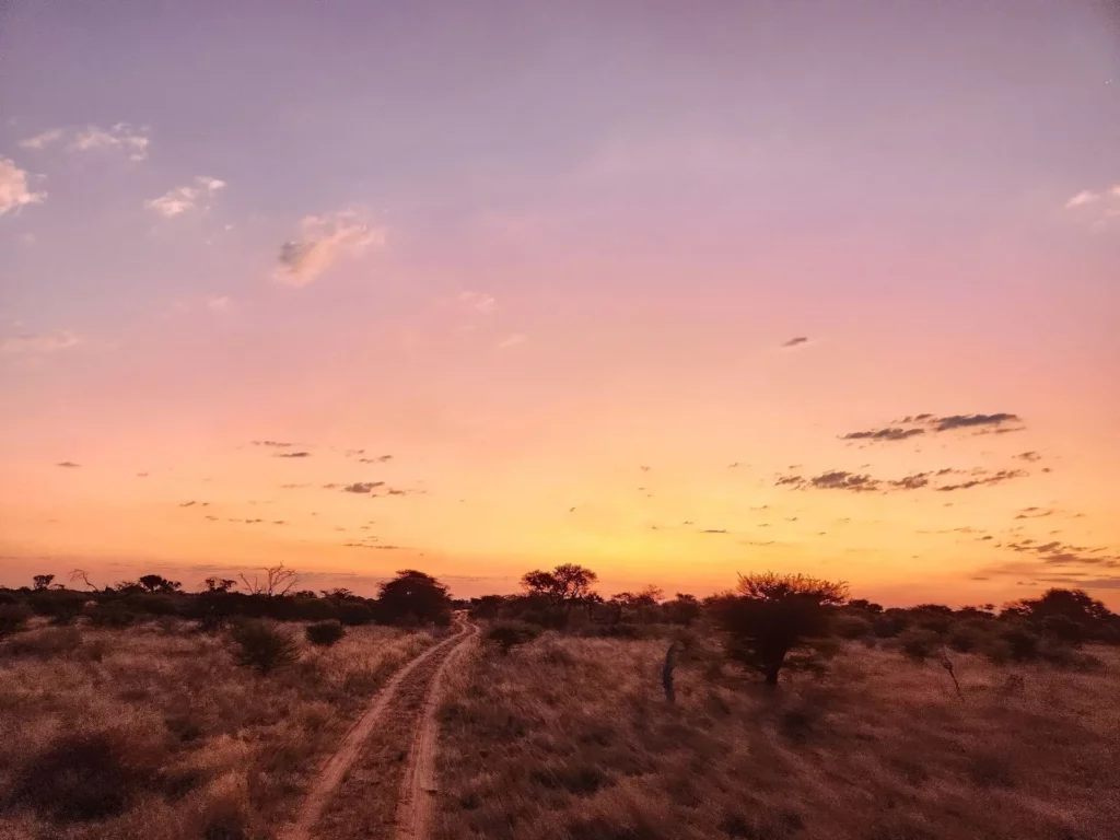 Kalahari Hunting Gallery - See the Amazing Wildlife and Scenery.